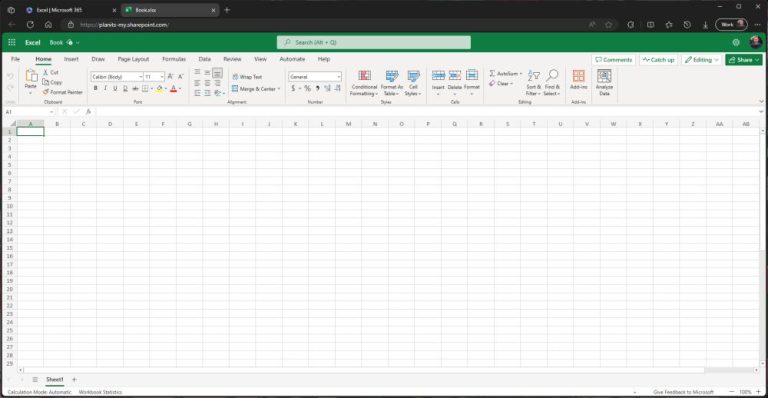 Using Office 365 apps in a browser | Plan IT Support