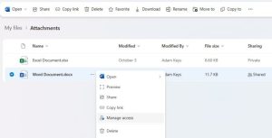 Sharing a file with OneDrive | Plan IT Support